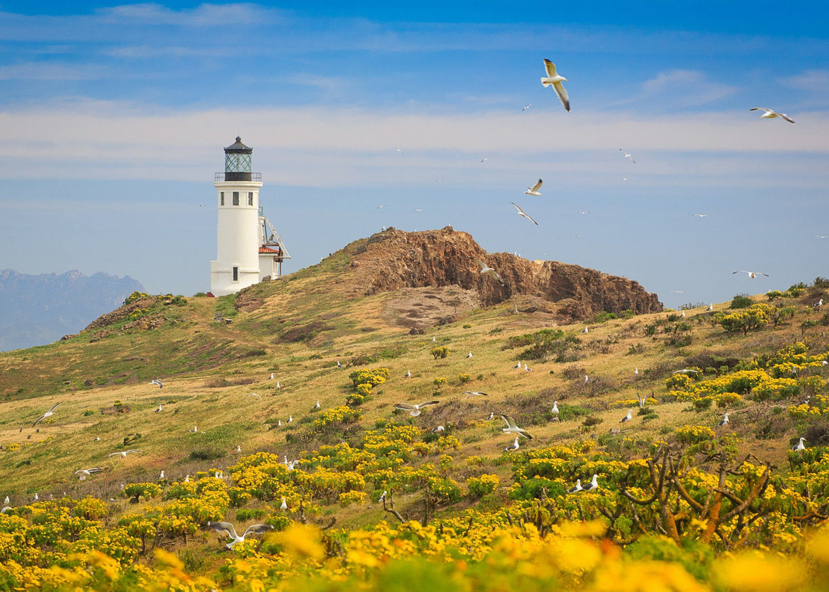 Anacapa Island, Channel Islands National Park in California – Latitudes ...