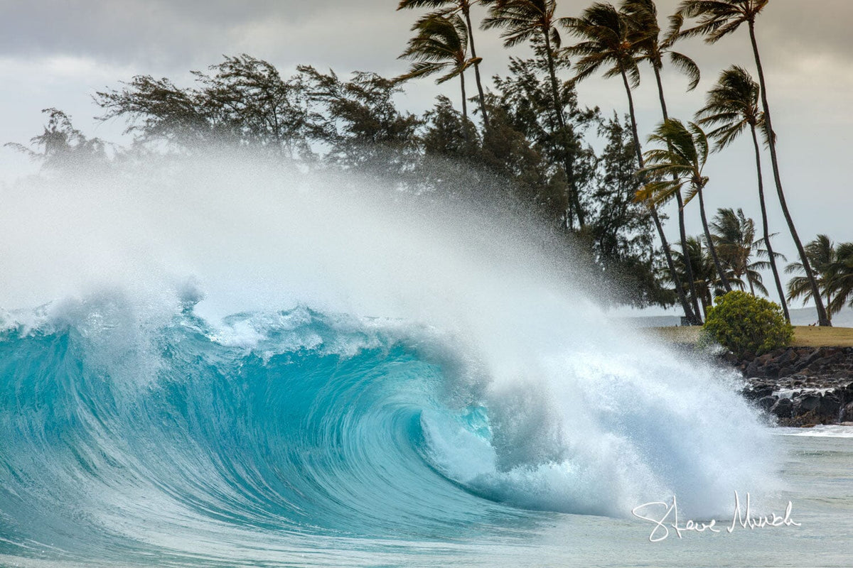"Poipu Blue" | Hawaii Wave – Latitudes Gallery