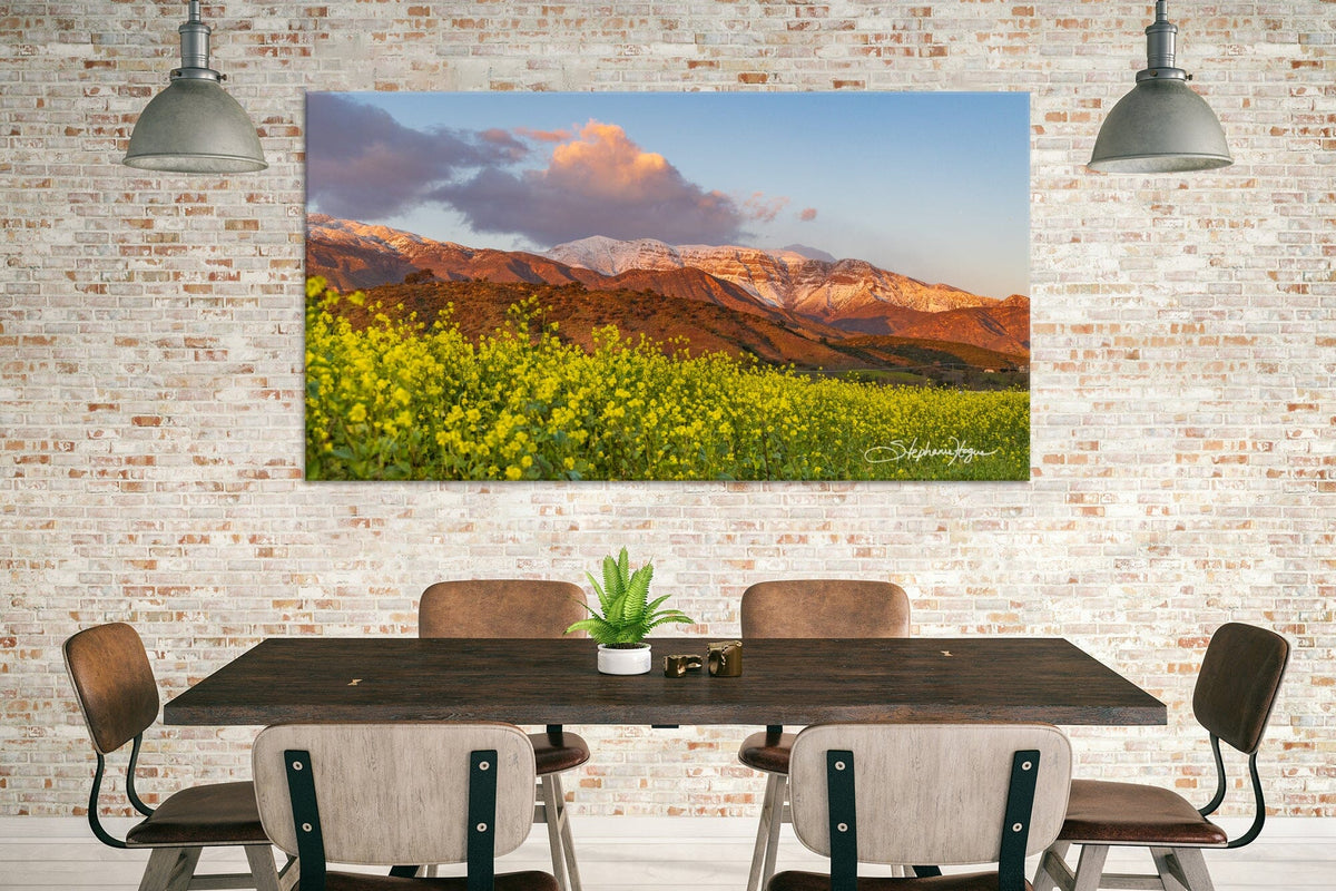 "Snowy Topa Topa and Mustard Flowers" – Latitudes Gallery