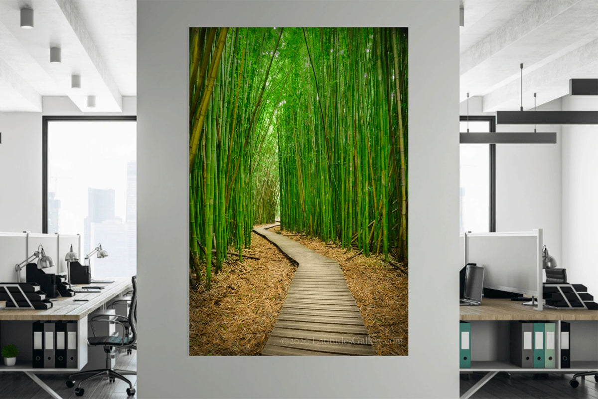 Zen Pathway - Stone Path Through Bamboo Wall Art Photo, HI – Latitudes ...