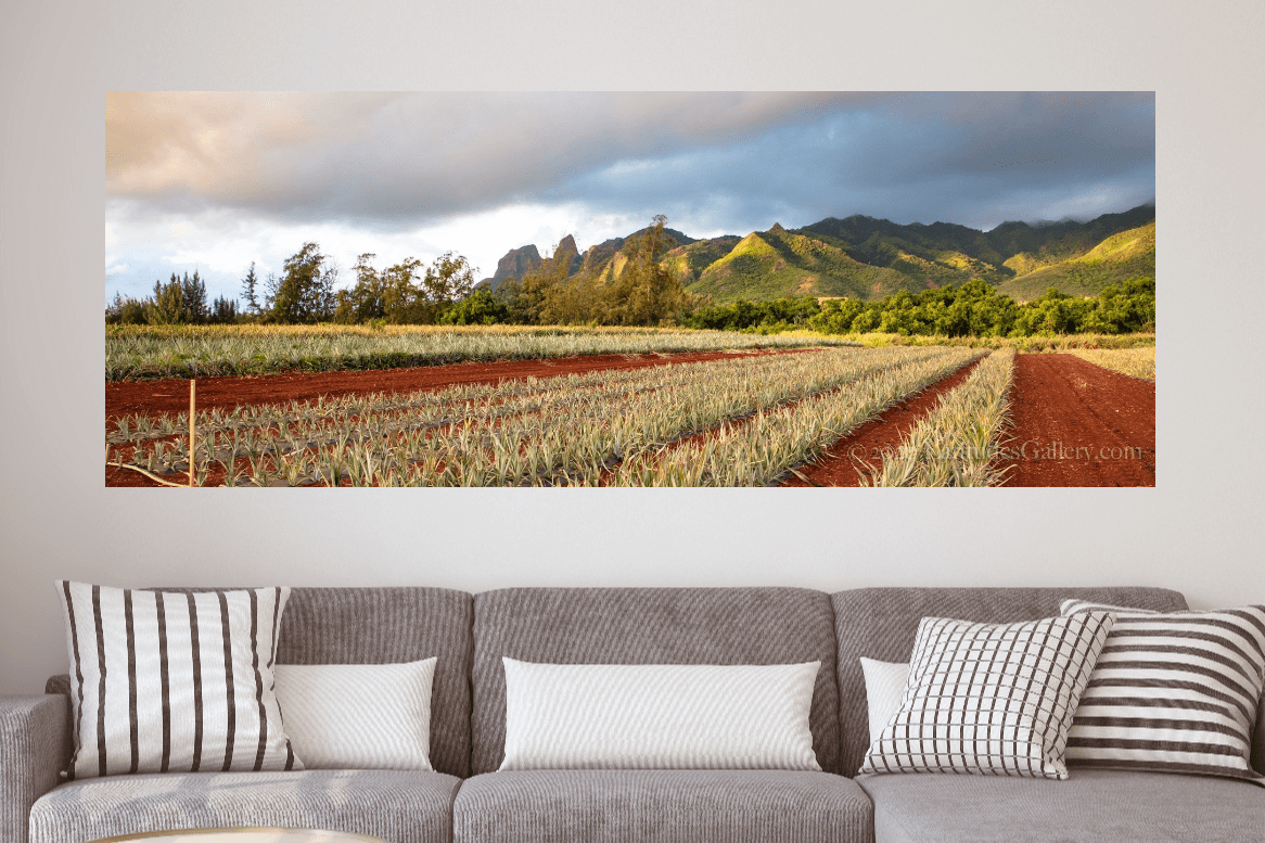 Sugarloaf Pineapple Field - Kauai, Hawaii Fine Art Photograph ...